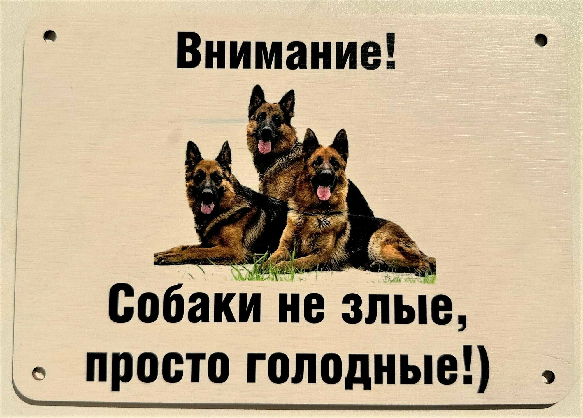 Табличка "Собаки голодные"