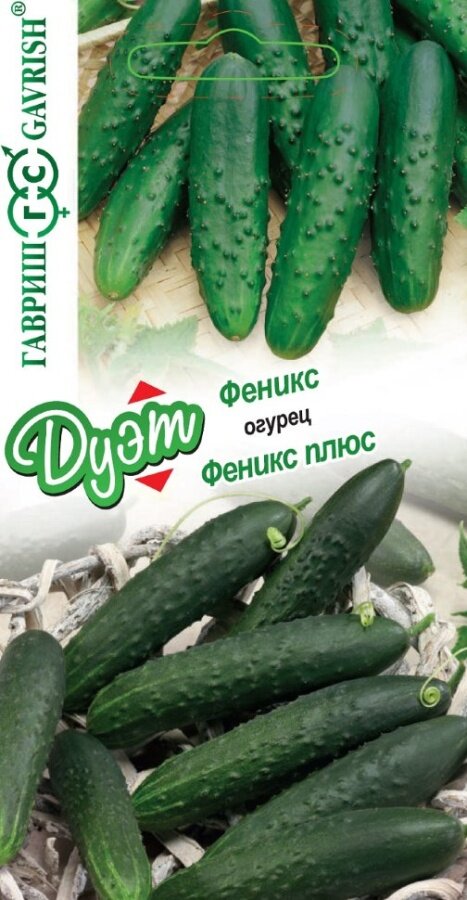 Семена огурца "Феникс" 0,5 гр + "Феникс плюс" 0,5 гр, 10 упаковок - обильный урожай вкусных и сочных огурцов.
