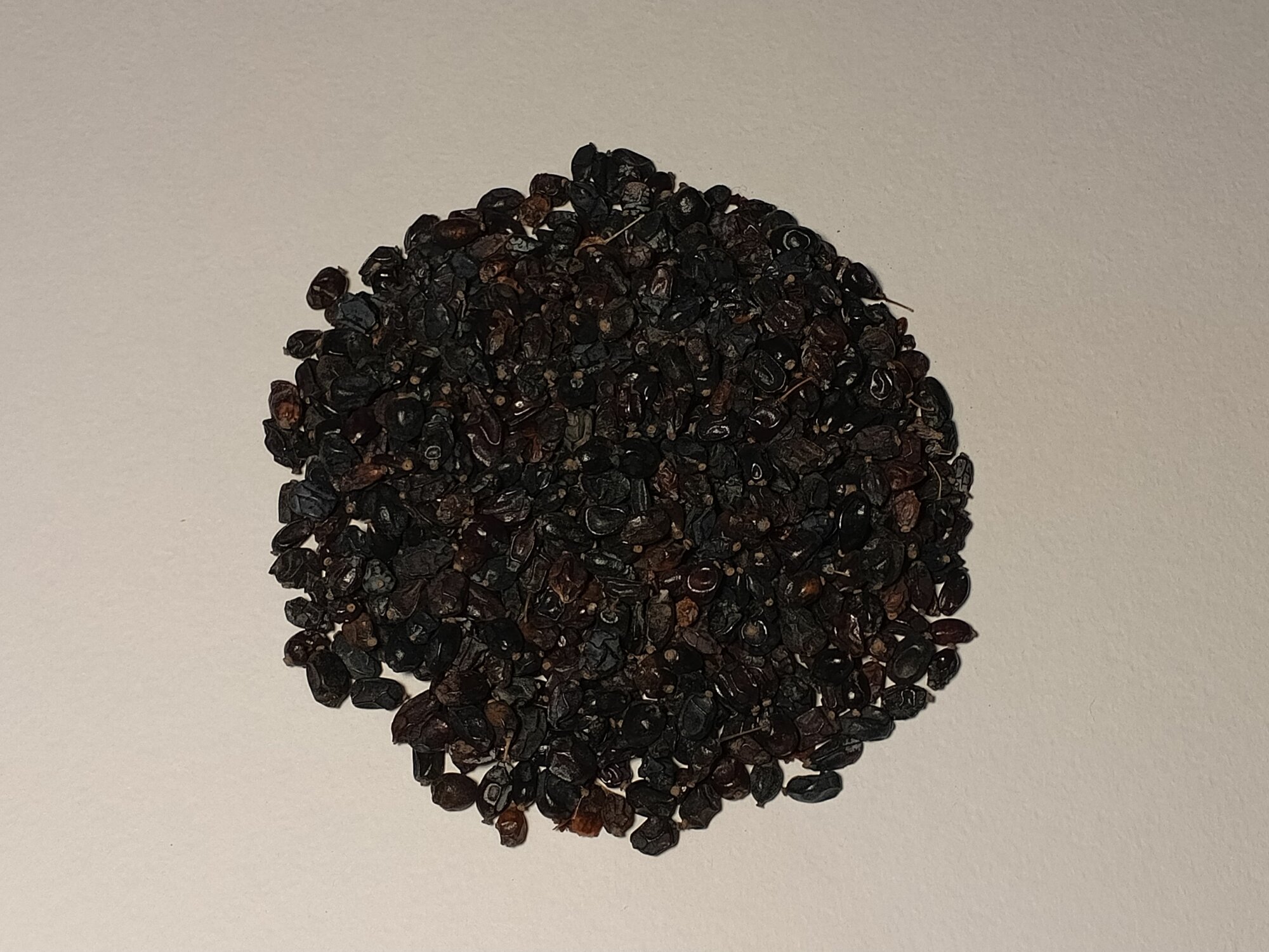 Барбарис (плод)