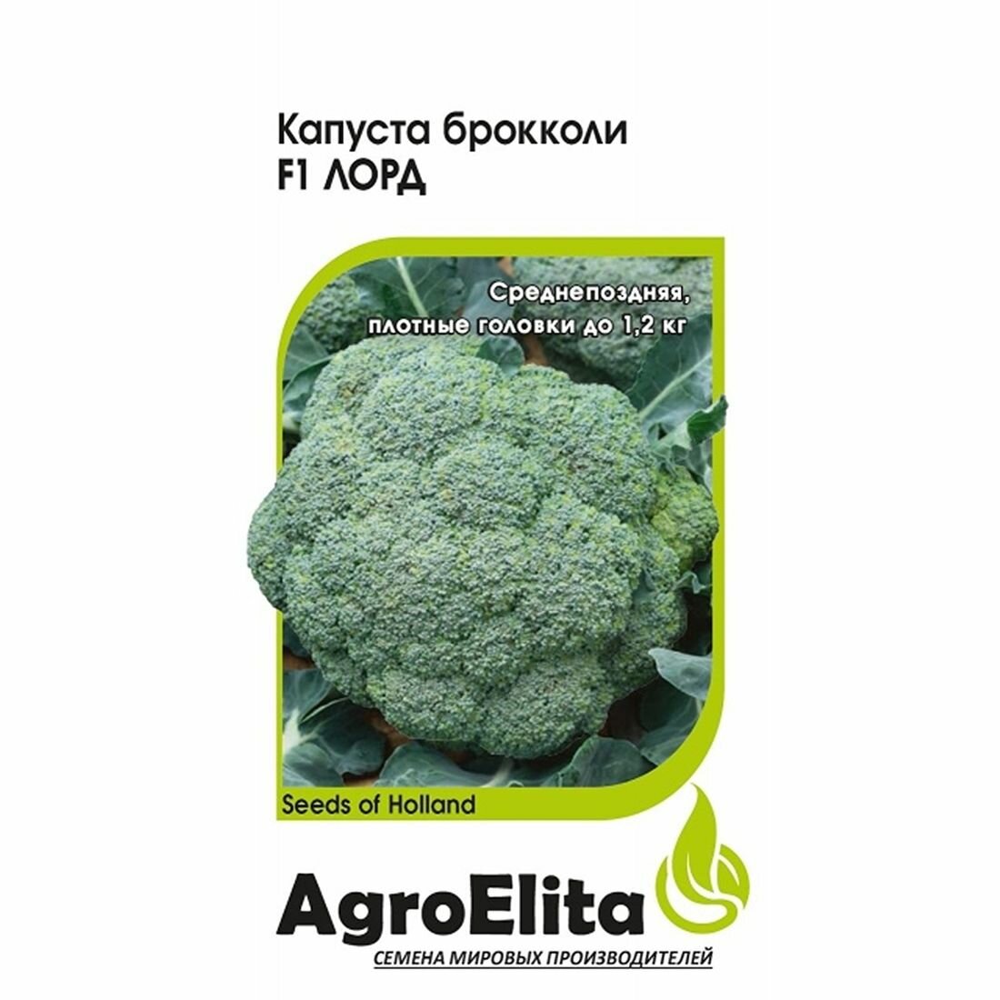 Семена Капуста брокколи Лорд F1, позднеспелый, AgroElita - Семинис, 1 пачка - 10 семян
