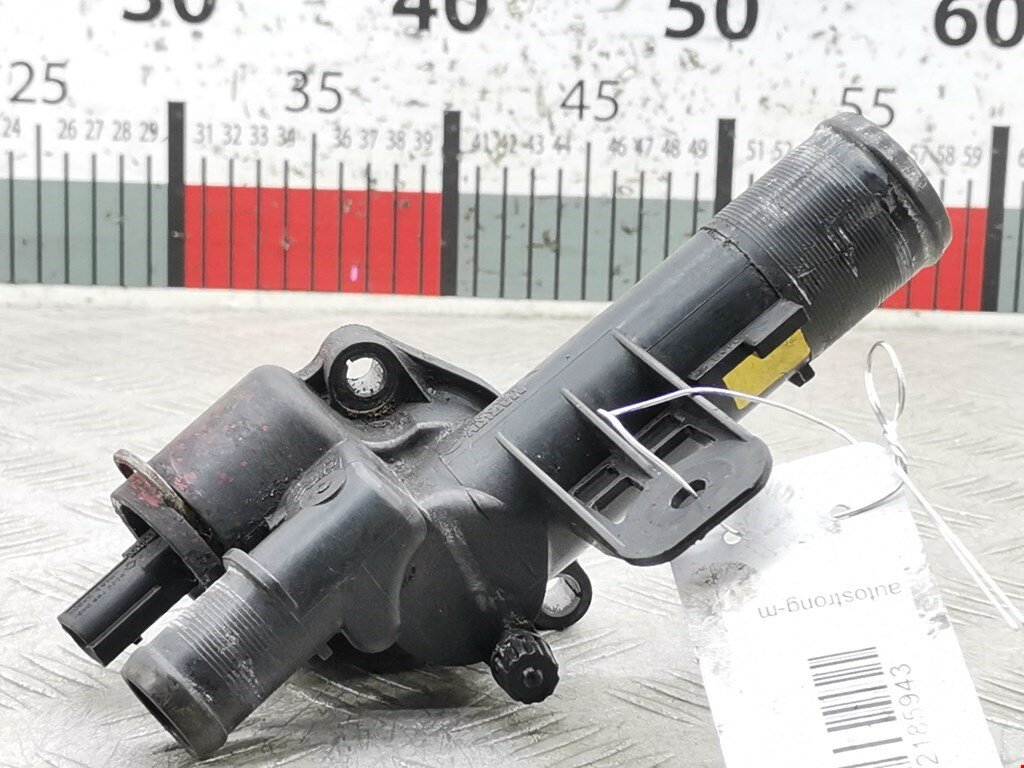 Корпус термостата Nissan Qashqai 1 1106000Q0P арт. 2185943