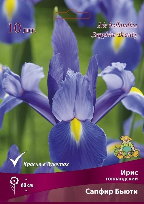 Многолет. Ирис сапфир бьюти