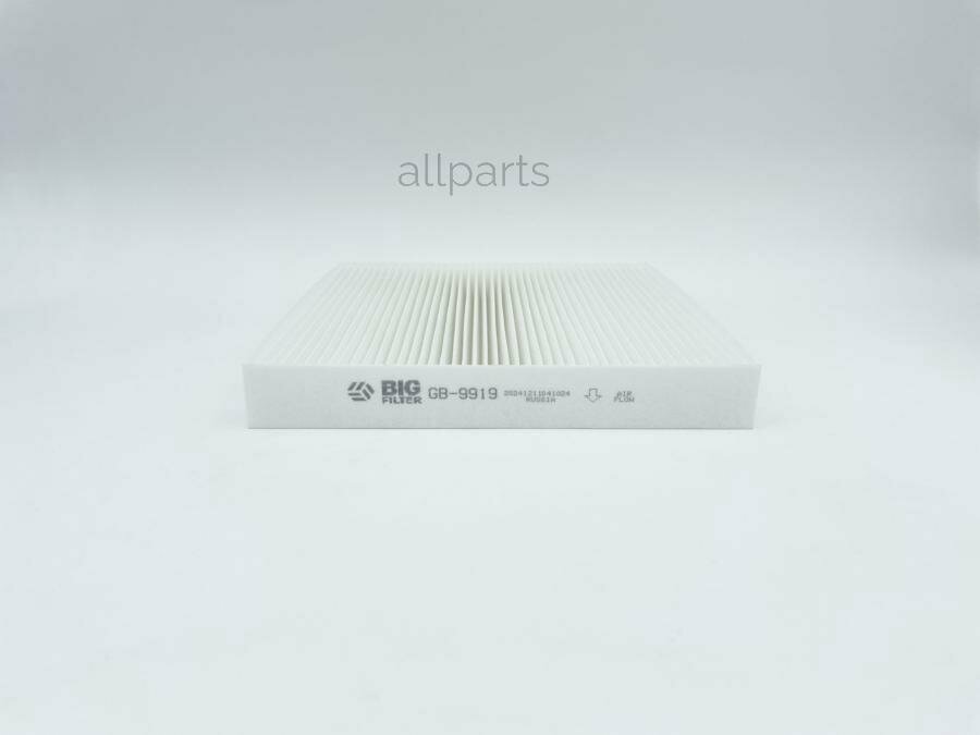 BIG FILTER GB-9919 Фильтр салона HONDA ACCORD/TOYOTA AVENSIS 2003=>