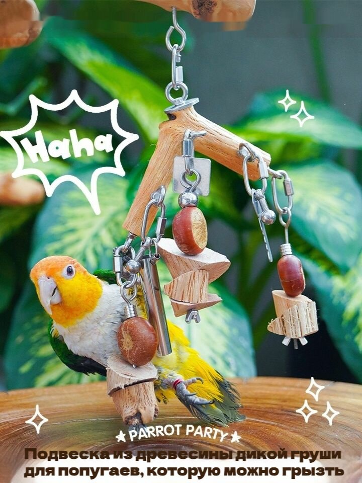 Подвеска из древесины дикой груши для попугаев: для грызения, стачивания когтей и игр на качелях-7
