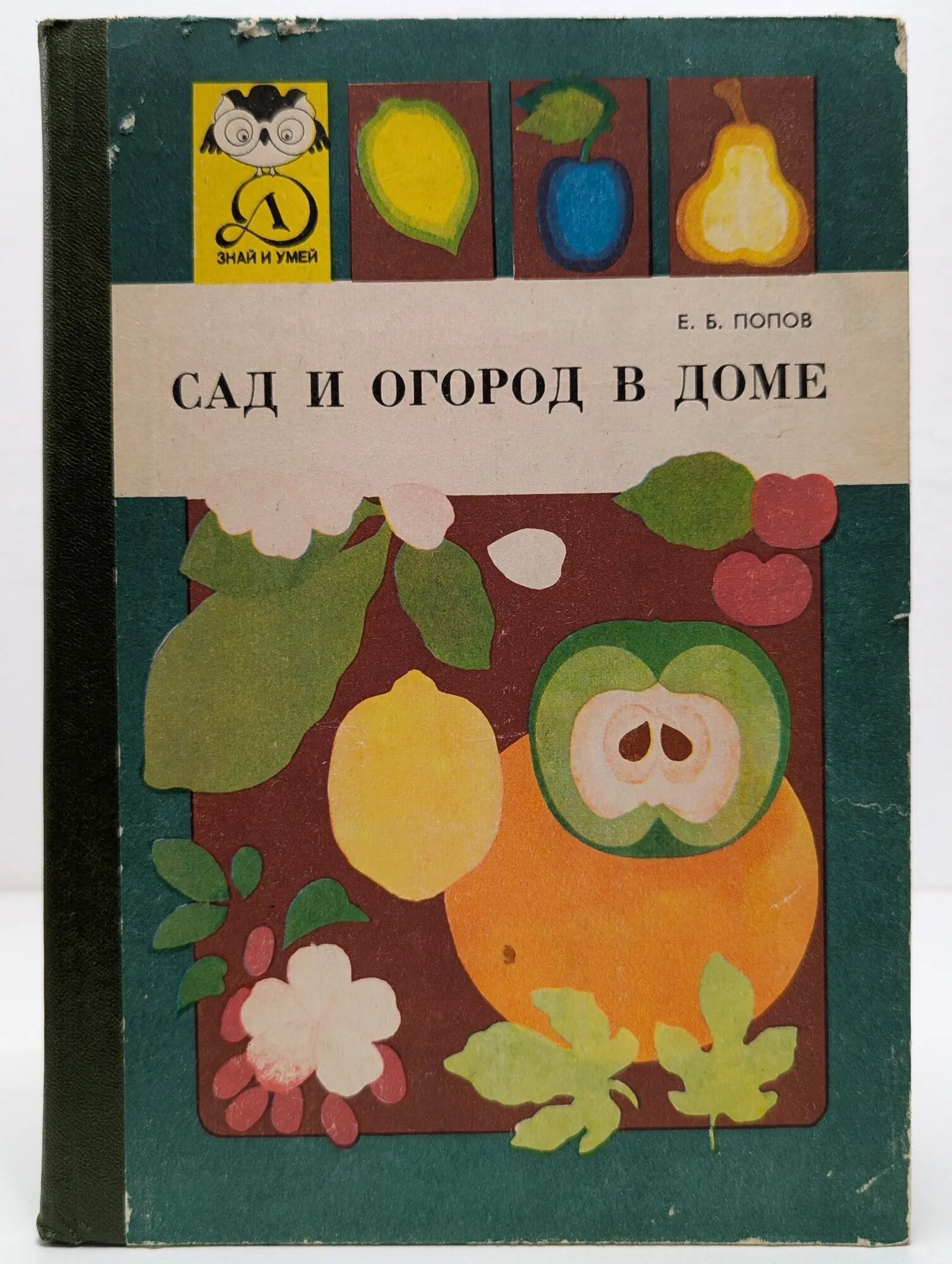 Сад и огород в доме Попов Евгений Борисович 1985