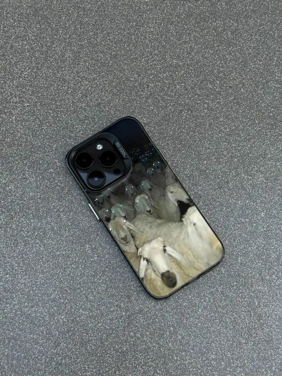 Чехол на iPhone 13 Pro Max мем — фото 1