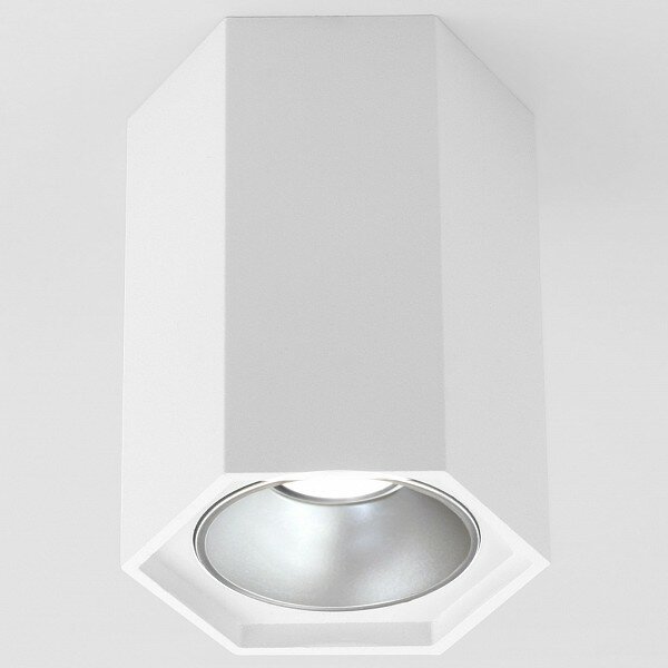 Накладной светильник Elektrostandard 25036/LED 25036/LED