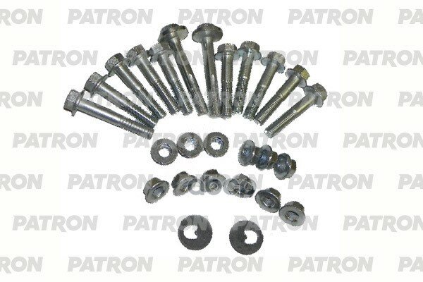Комплект болтов подвески задней подвески Ford Focus I II III PATRON арт. PBLT076