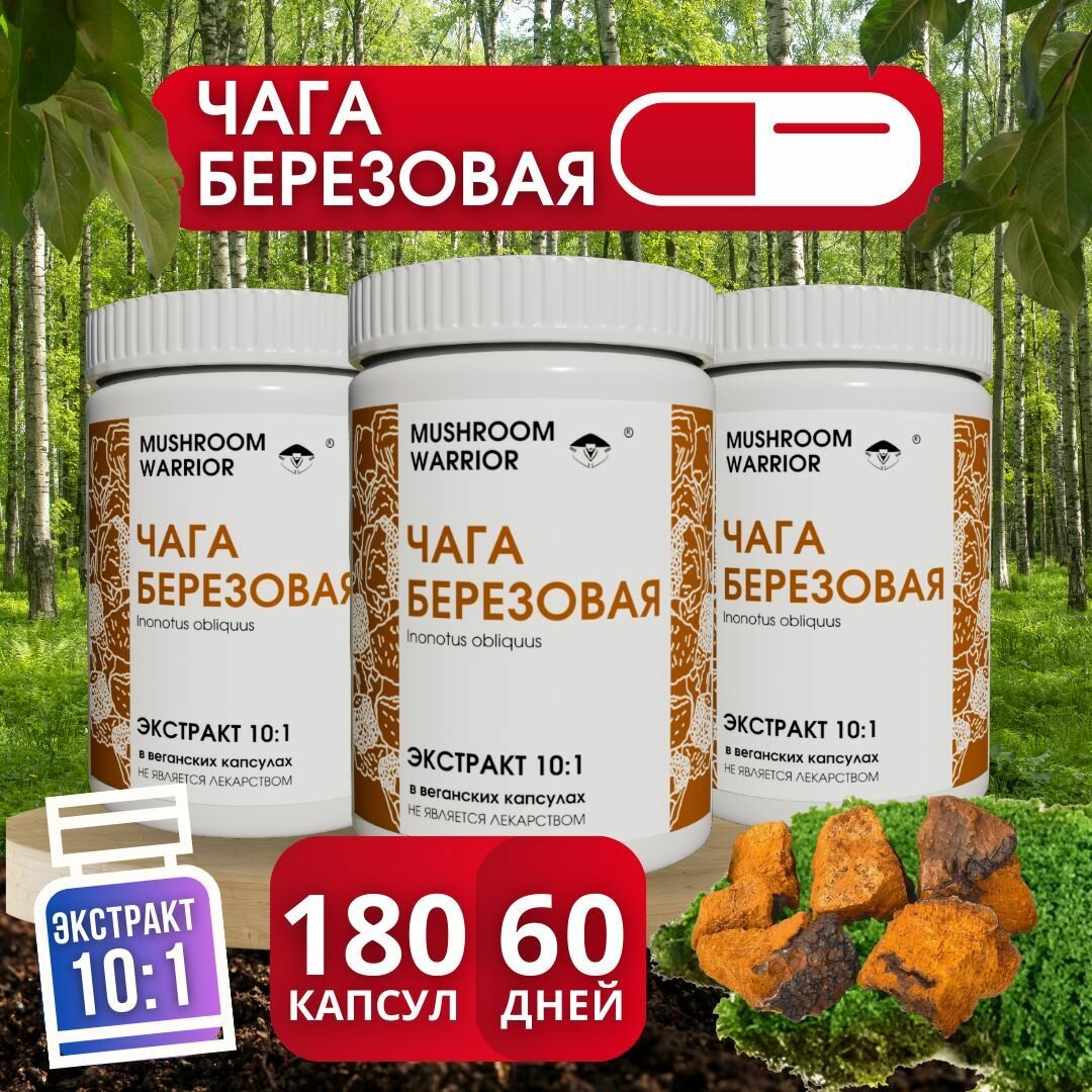 Чага Березовая дробный экстракт 10:1,3 х 60 капсул, для ЖКТ, Mushroom Warrior, комплексная пищевая добавка