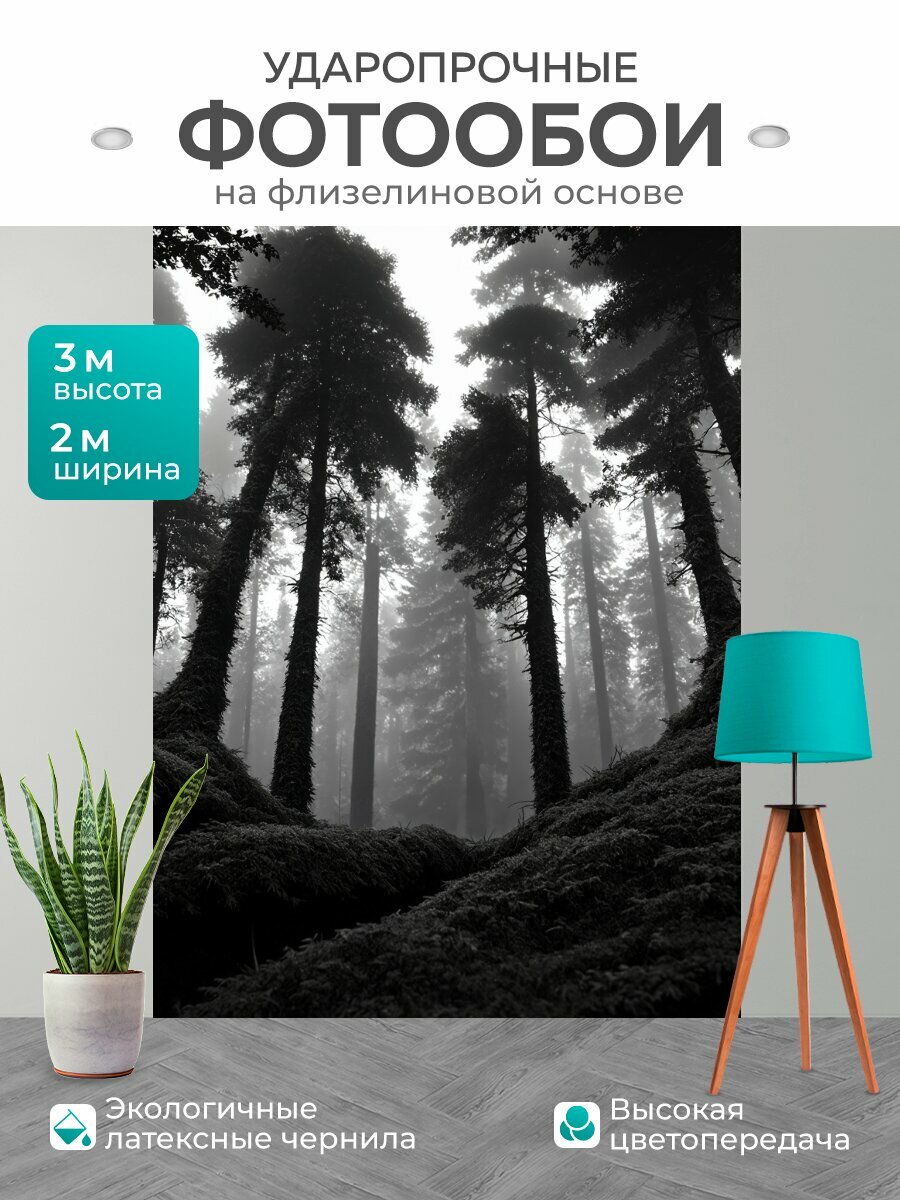 Фотообои моющиеся ударопрочные "Фотообои лес в стиле черно-белый: изометрическое изображение густого леса с высокими деревьями, покрытыми мхом," 200x300 см. флизелиновые на стену