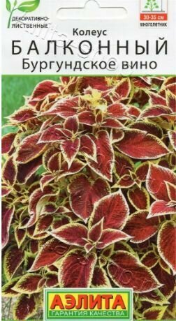 Колеус балконный Бургундское вино ( 1 упаковка ) , семена цветов, многолетнее