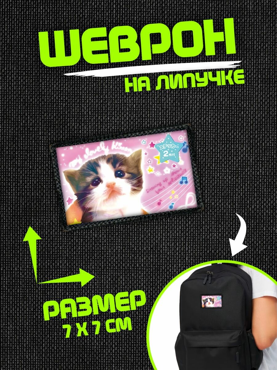 Шеврон на липучке нашивка Котик