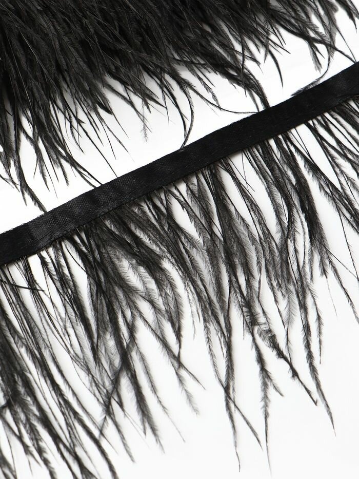 Декоративные перья Арт Узор на ленте, черные, 10+-0,5 м, ширина 8-10 см (9670863)