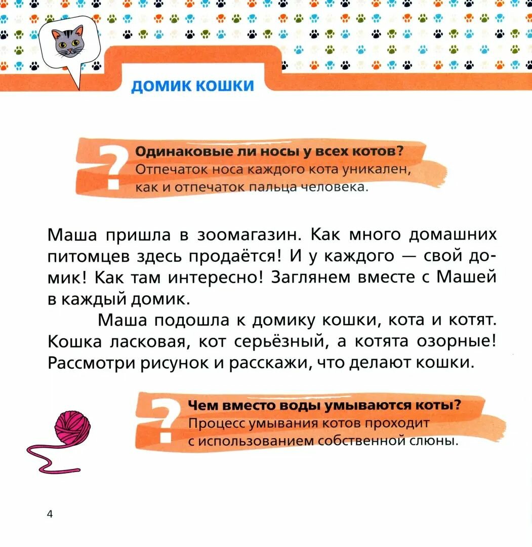 Домашние питомцы — фото 1