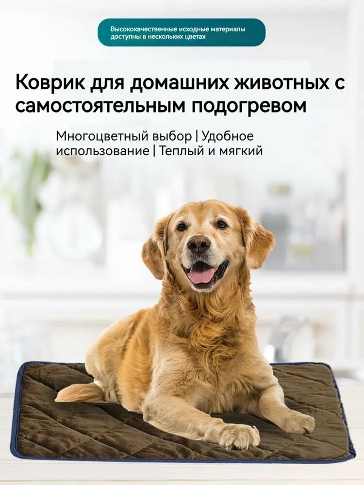 Будка для собак — фото 1