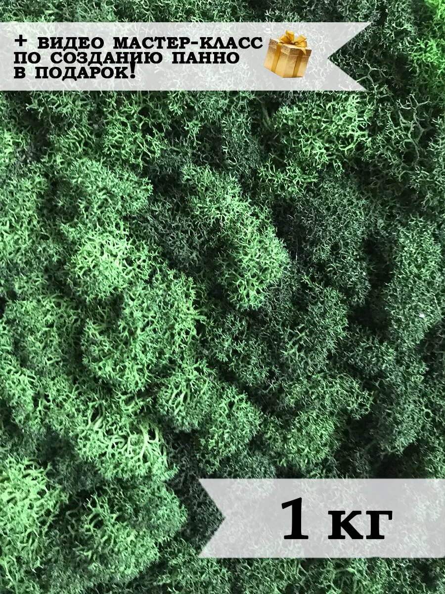 Мох стабилизированный ягель 1 кг для декора