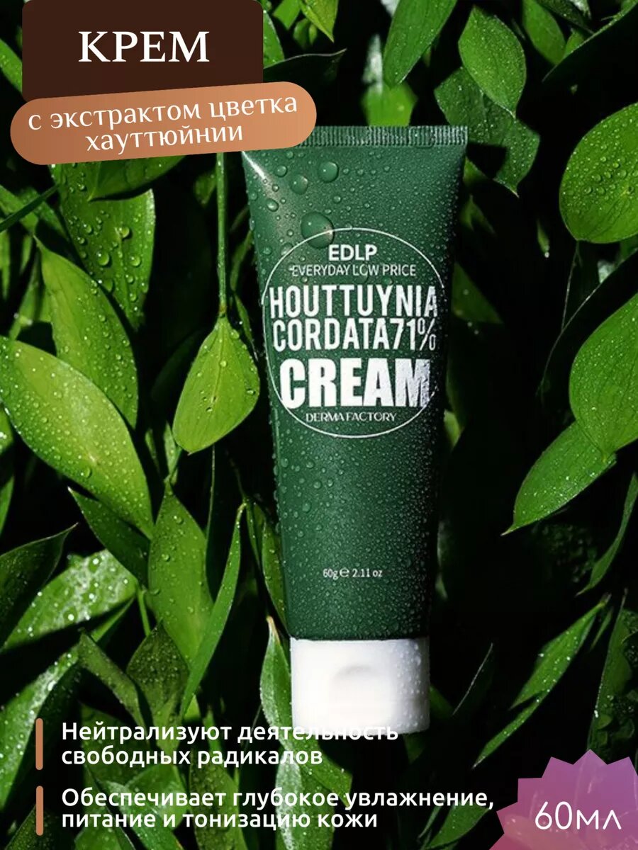 Крем для лица Derma Factory Houttuynia, с экстрактом хауттюйнии, 60 мл
