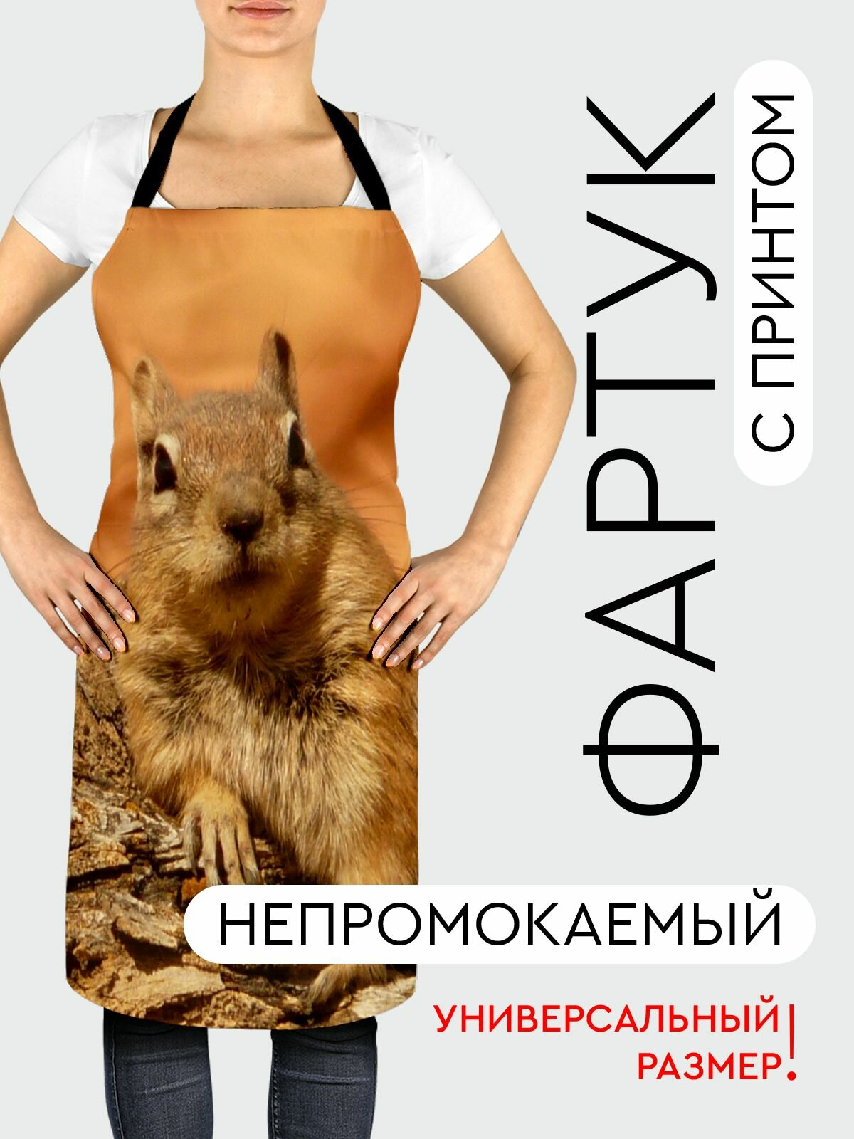 Фартук кухонный, универсальный размер, с водоотталкивающей пропиткой / Животные / бурундук