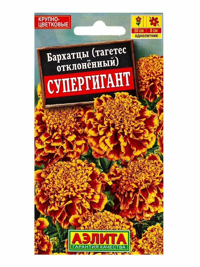 Семена цветов Бархатцы «Супергигант» отклоненные, 0.3 г
