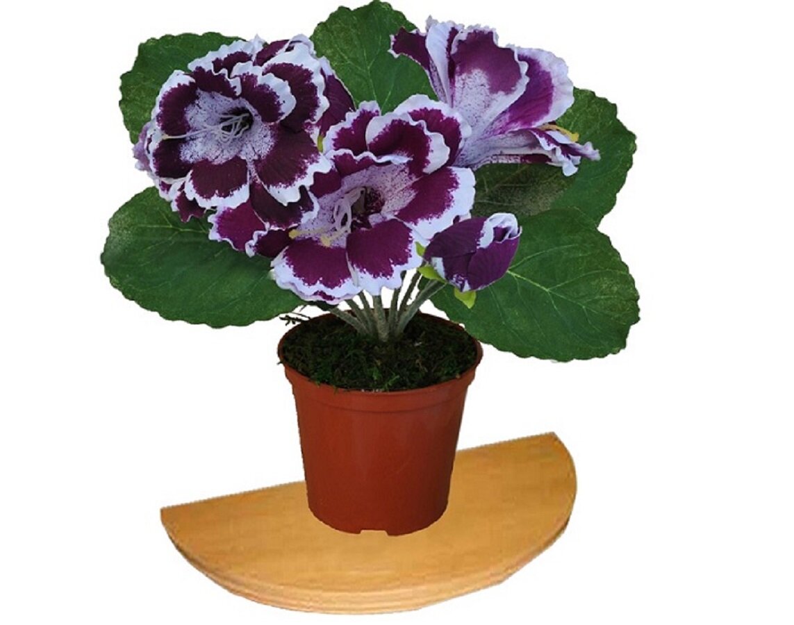 Искусственная глоксиния Holodilova "Букет в горшке", 30см, фиолетовая