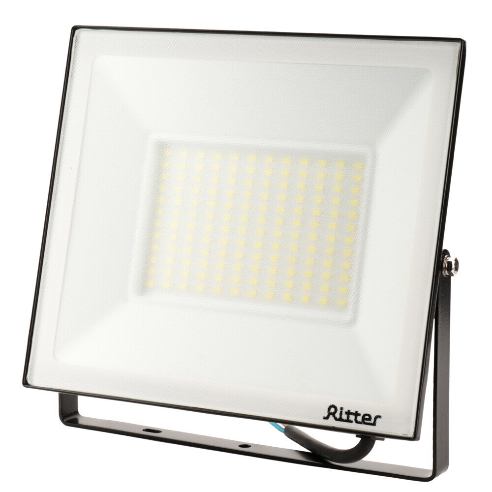 Прожектор светодиодный Ritter Profi 6500К 100 Вт IP65 черный