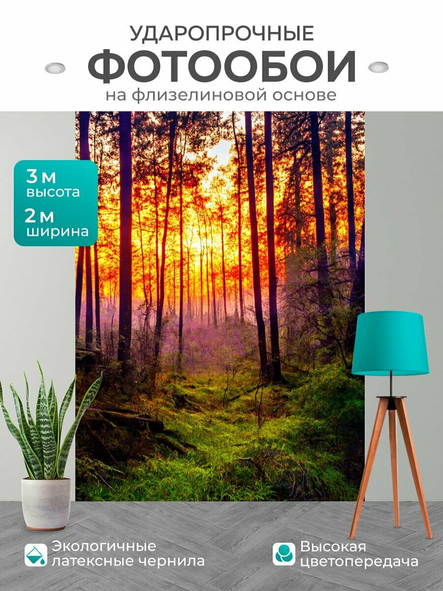Фотообои моющиеся ударопрочные "Закат над лесом, оранжевые и фиолетовые оттенки, сенсация окончания дня" 200x300 см. флизелиновые на стену