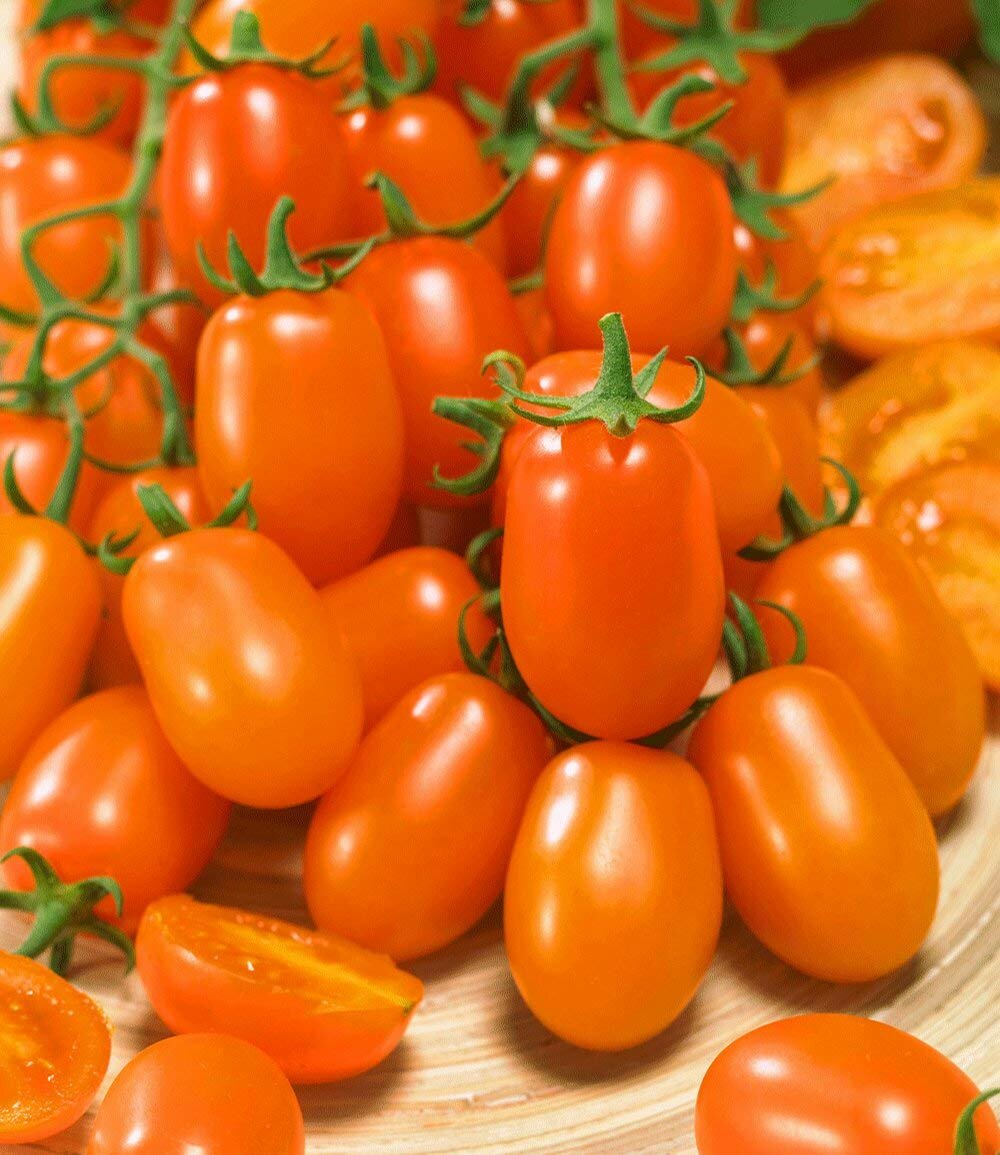 Семена томатов "Янтарное изобилие", для открытого грунта и теплиц, сладкий сорт, 10-15 семян