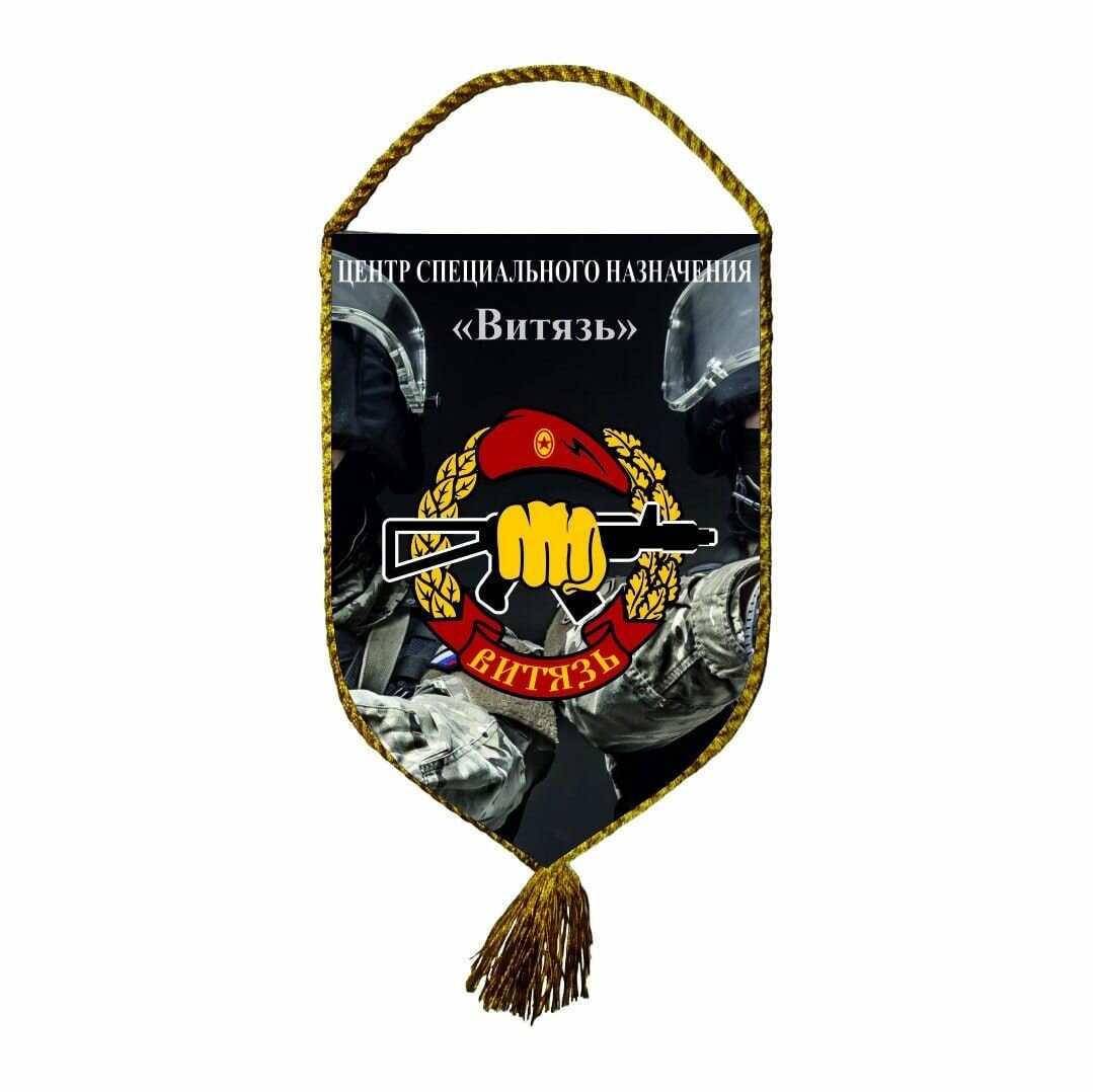 Вымпел коллекционный ЦСН Витязь