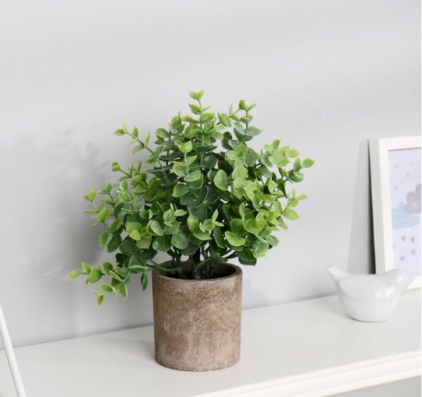 Бонсай в горшке "Буксус" 7,5x21см микс 7081328