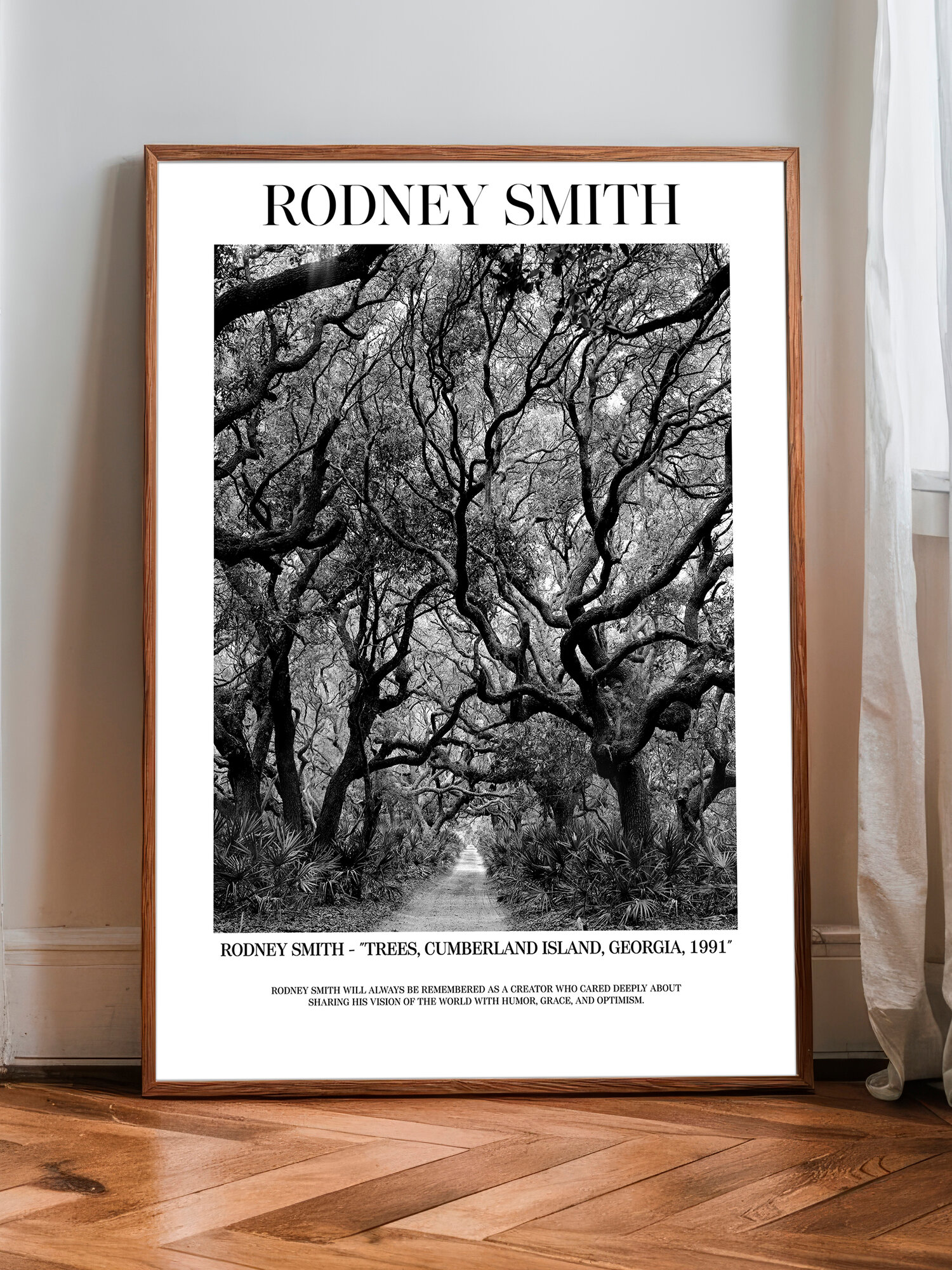 Постер фотография для интерьера Casa Paterna черно-белый Родни Смит - Деревья, 50х70
