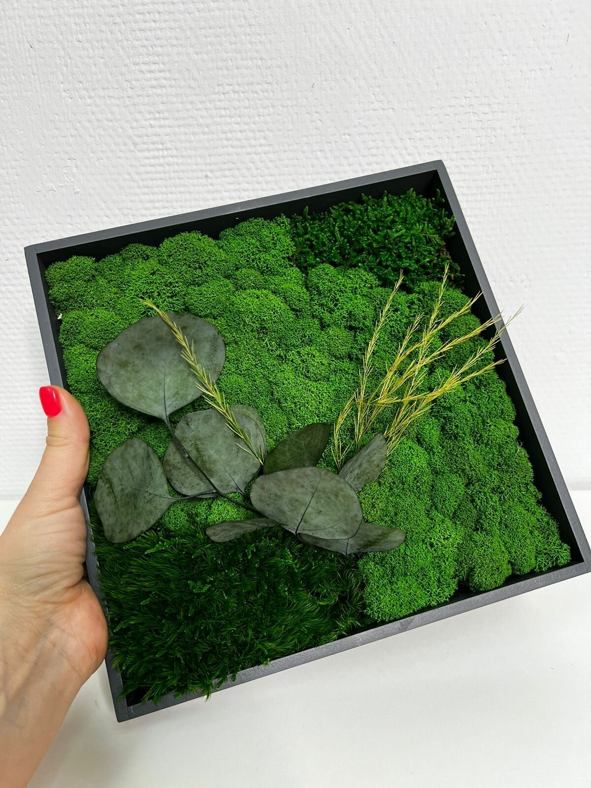 Рамка со мхом и растениями 25 см MyMossLife, стабилизированный мох, панно с мохом, картина