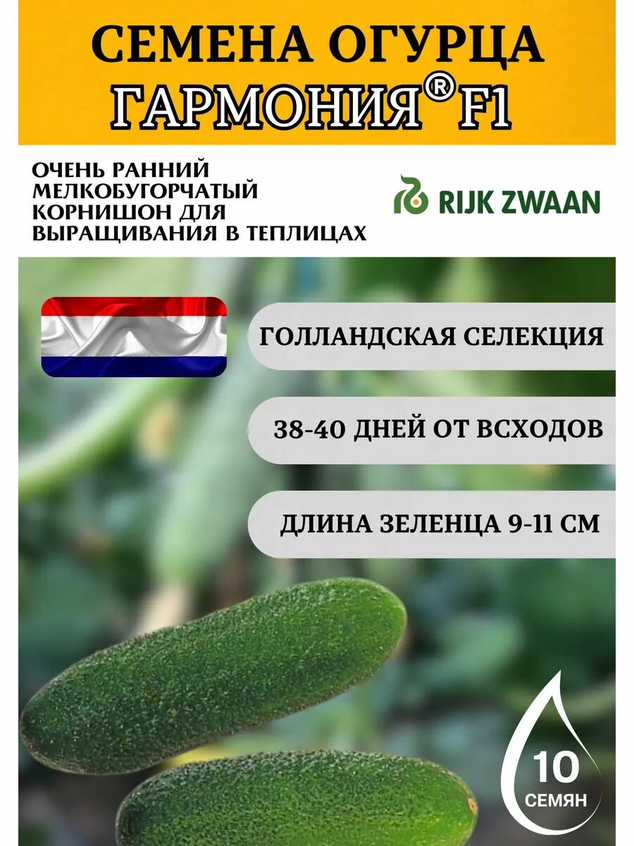 Семена огурца Rijk Zwaan Гармония F1, раннеспелые высокоурожайные, 10 семян