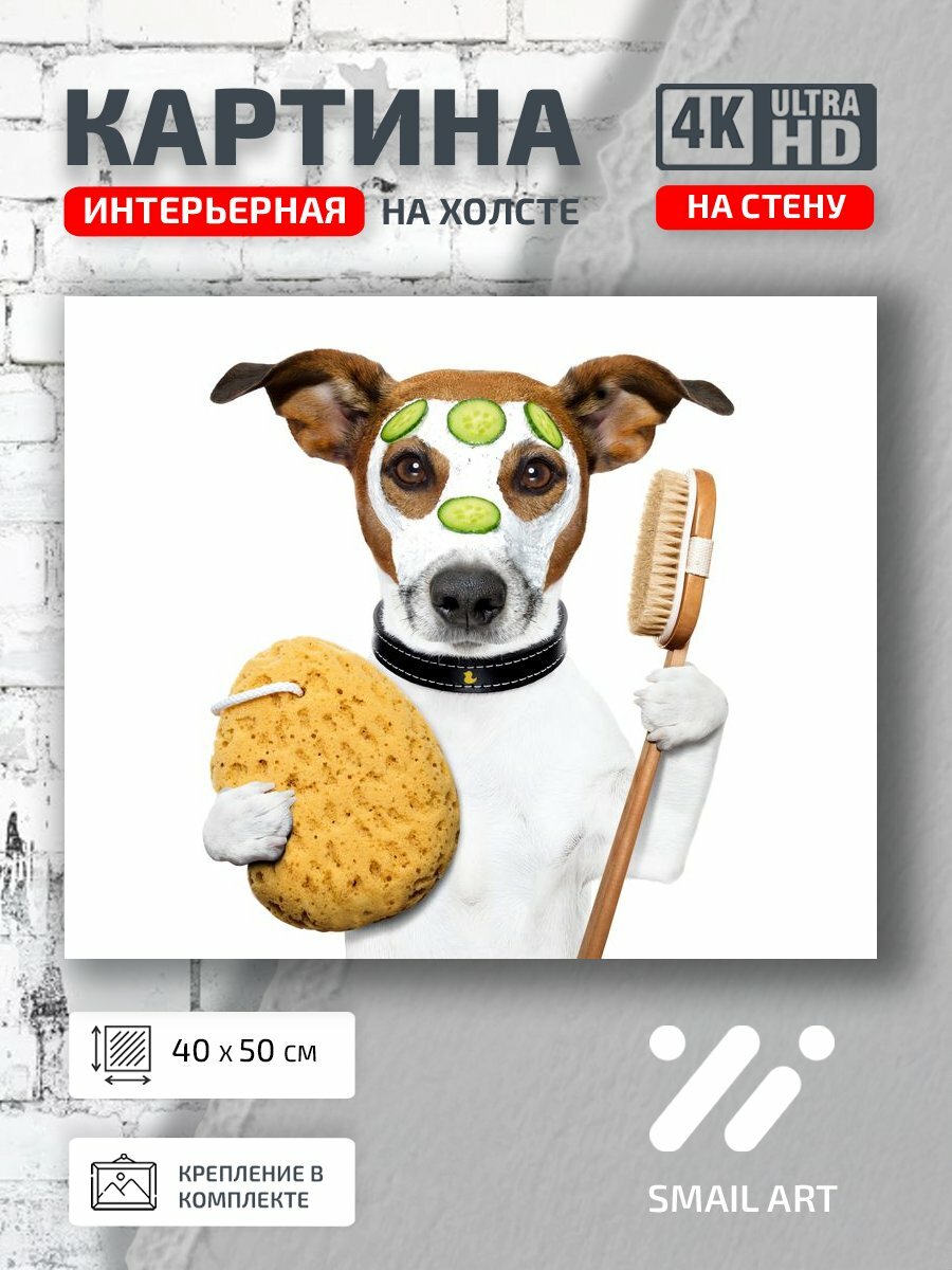 Картина на холсте интерьерная 40 на 50 на стену Спа Mood для офиса атмосфера интерьер декор