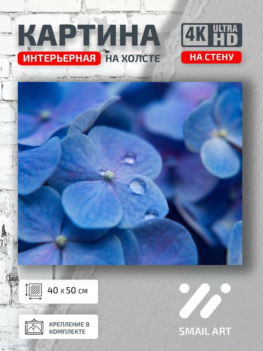 Картина на холсте интерьерная 40 на 50 на стену гортензии Синие для офиса атмосфера