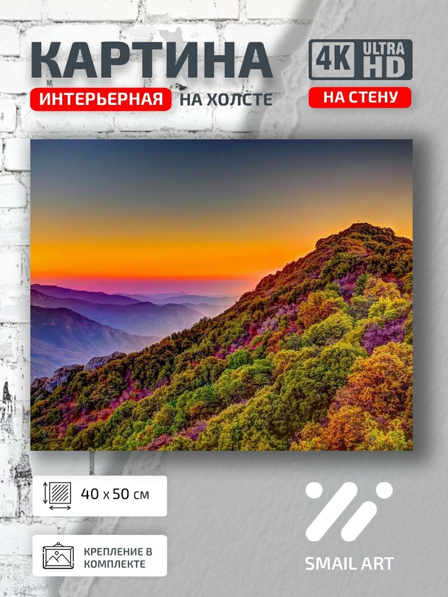 Картина на холсте интерьерная 40 на 50 на стену Секвойя Калифорния для студии атмосфера