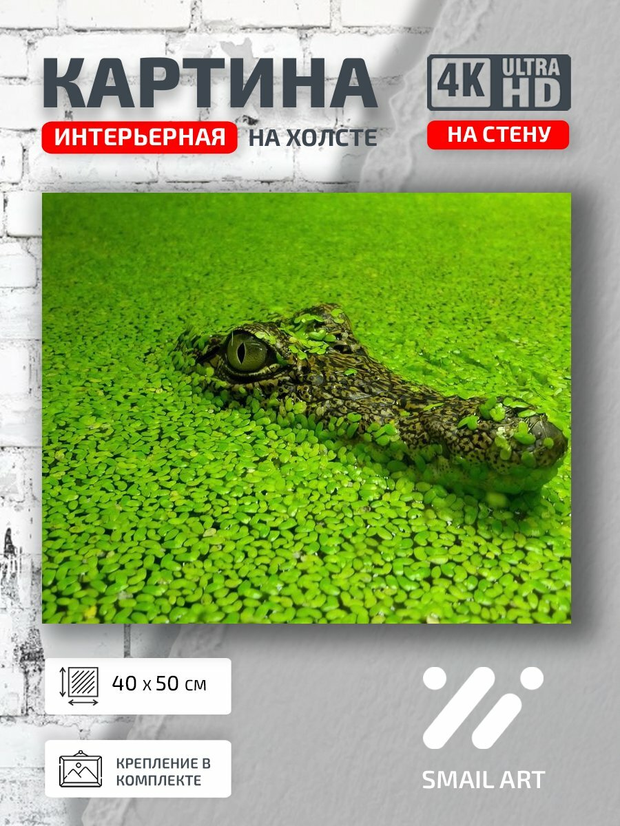 Картина на холсте интерьерная 40 на 50 на стену Гавиал Mood для гостиной атмосфера интерьер