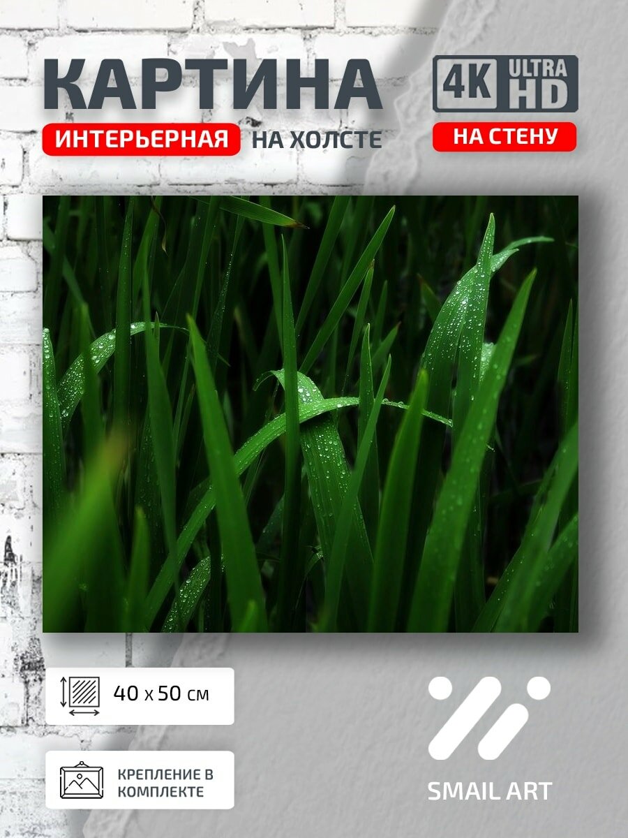 Картина на холсте интерьерная 40 на 50 на стену After Rain для спальни атмосфера