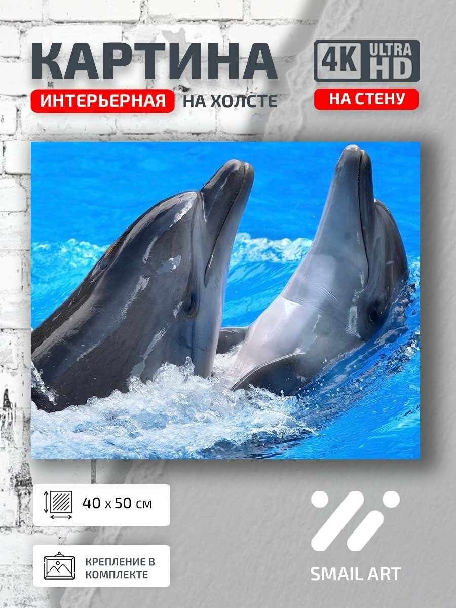 Картина на холсте интерьерная 40 на 50 на стену Танцующие дельфины для офиса атмосфера