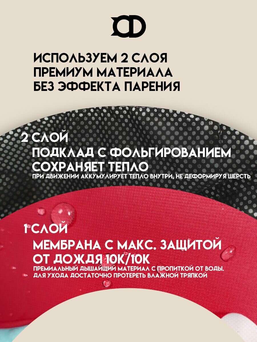 Одежда для животных — фото 1