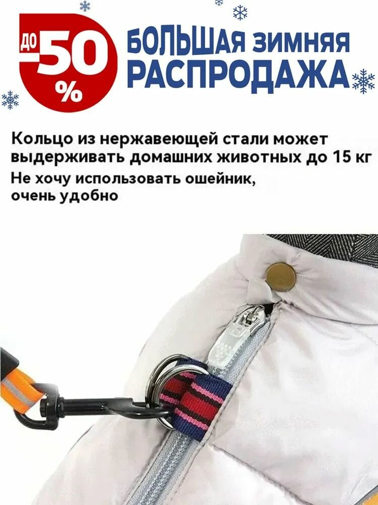 Одежда для животных — фото 1