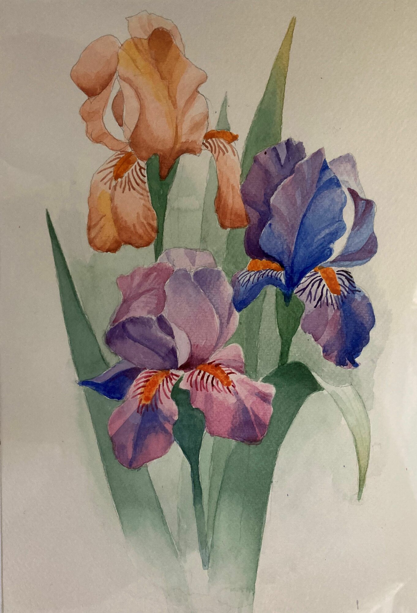 ART-Salon at Oktyabrskaya авторская картина "Ирисы 3", бумага, акварель 40х30 см, 2023 г.