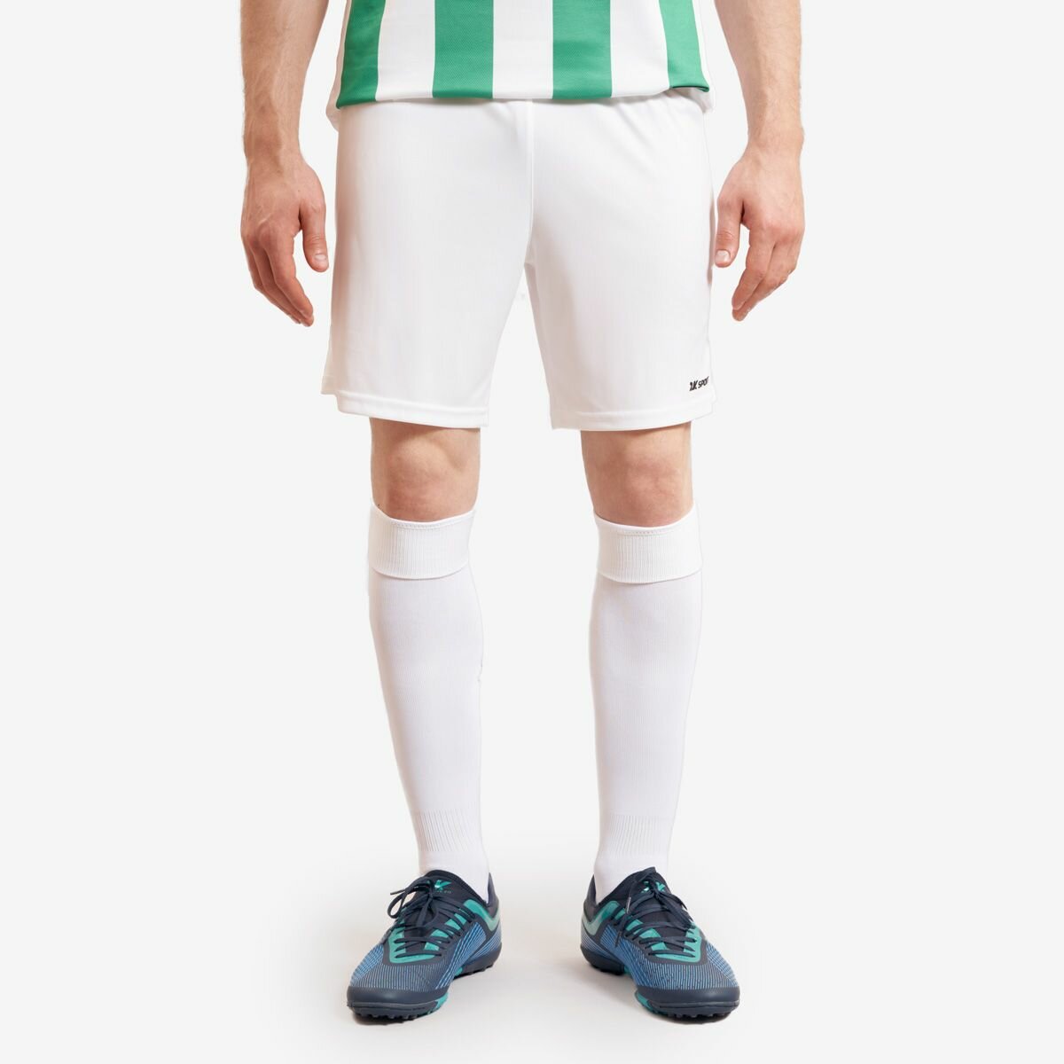 Шорты спортивные