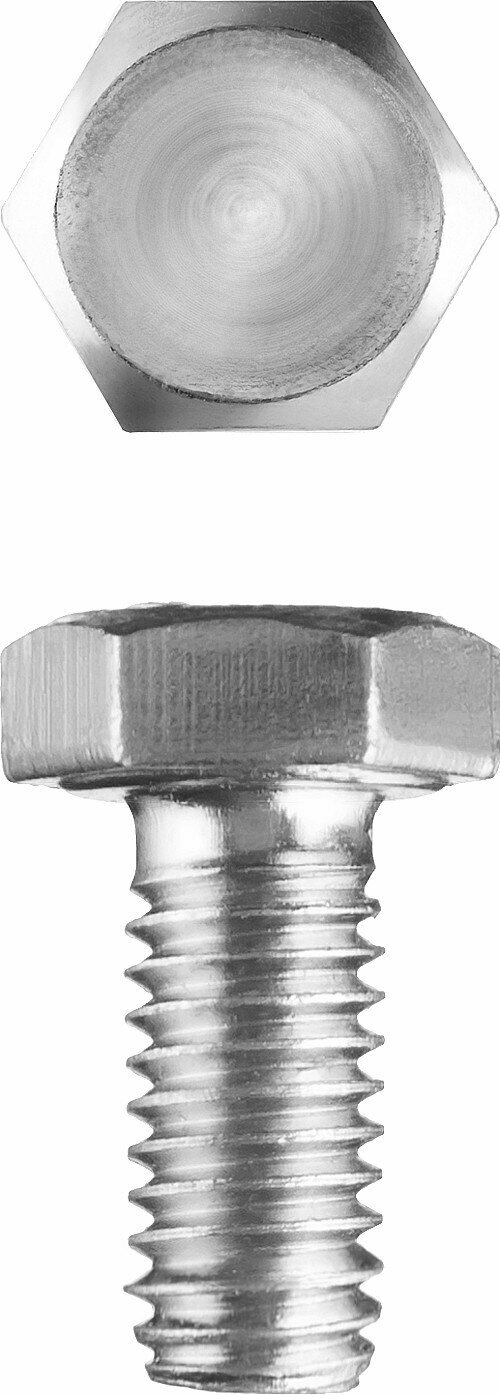 Болт ЗУБР M5x10мм, ГОСТ 7798-70, кл. пр.5.8, 5кг 303080-05-010