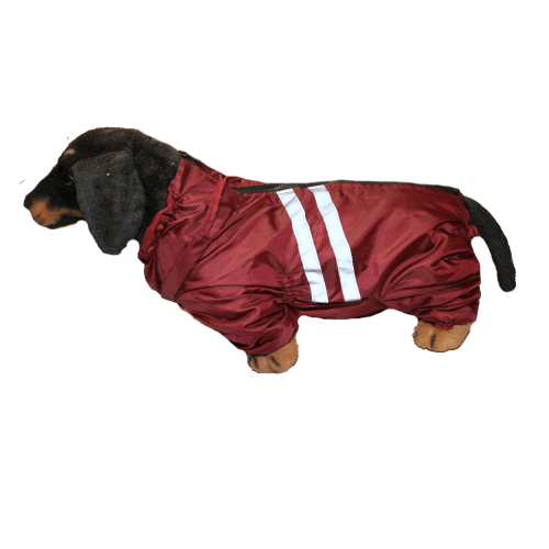 Комбинезон-дождевик для таксы карликовой суки, повышенной прочности, со светоотражающими полосами, цвет бордо