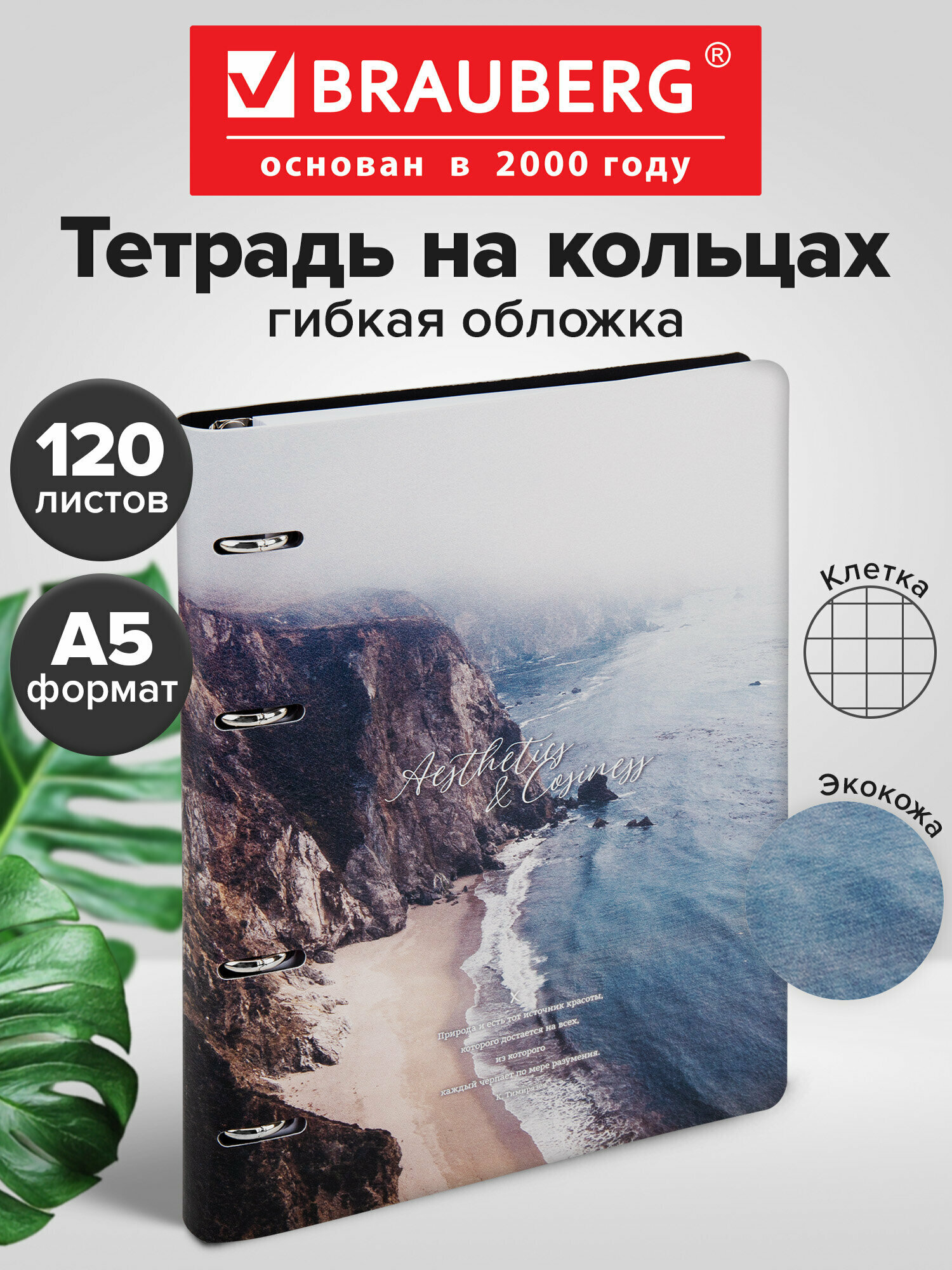 Тетрадь на кольцах А5 в клетку со сменным блоком 180х220 мм 120 л, обложка под кожу, Esthetics, Brauberg Vista, 405208