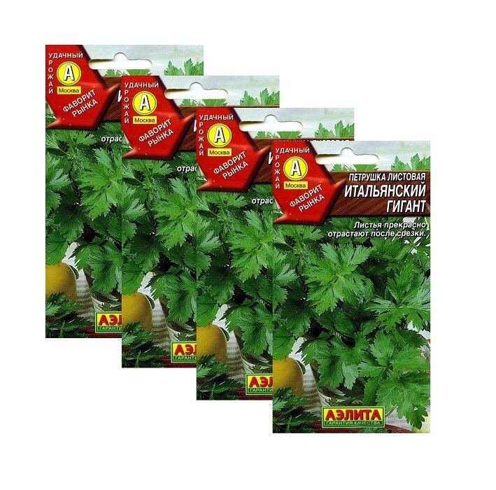 Набор. Петрушка Итальянский гигант листовая 2г . Комплект из 4 шт.