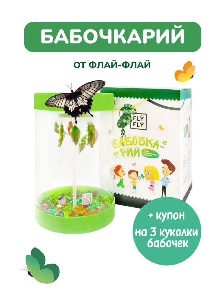 Ферма бабочек "Бабочкарий" на 3 куколки / Детский развивающий набор для опытов от Флай-Флай / подарочный набор опыты и эксперименты для детей