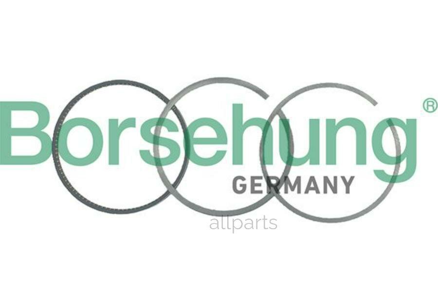 BORSEHUNG B19041 кольца поршневые! d76.5x1.2x1.2x2 STD (1)\ Audi A3, Skoda, VW Golf 1.4TSi CAXA/CAXC 07>