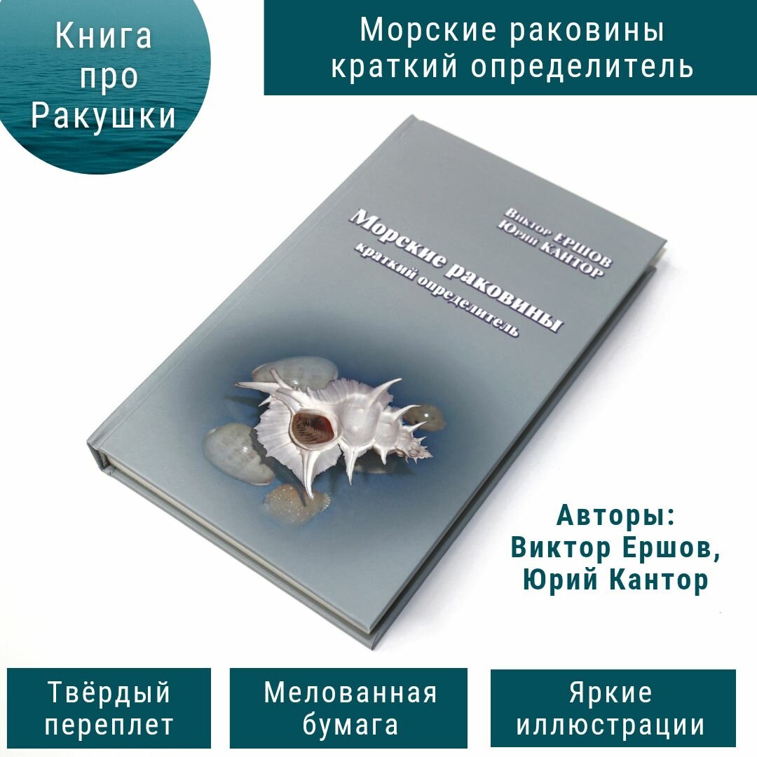Книга. Морские раковины. Краткий определитель морских ракушек. Новая.