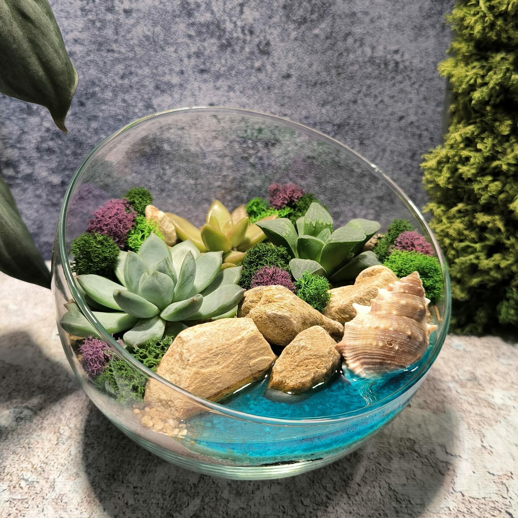 Флорариум с суккулентами Glass & Grass "Озерный край", 15 см